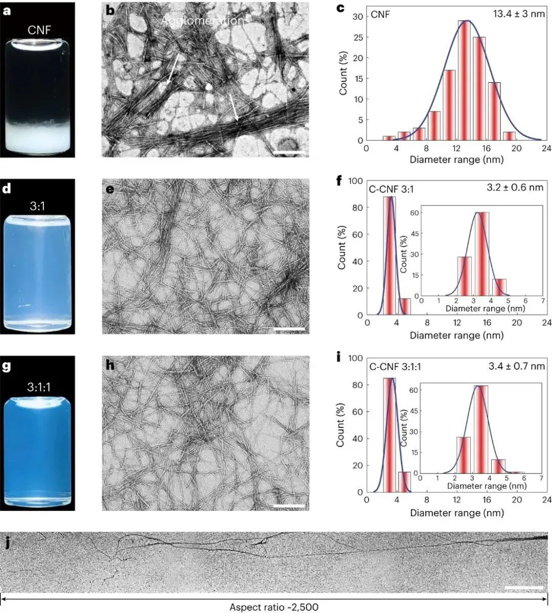 重点实验室于海鹏教授/哥廷根大学张凯教授合作Nature Sustainability!-生物质材料重点实验室（东北林业大学）